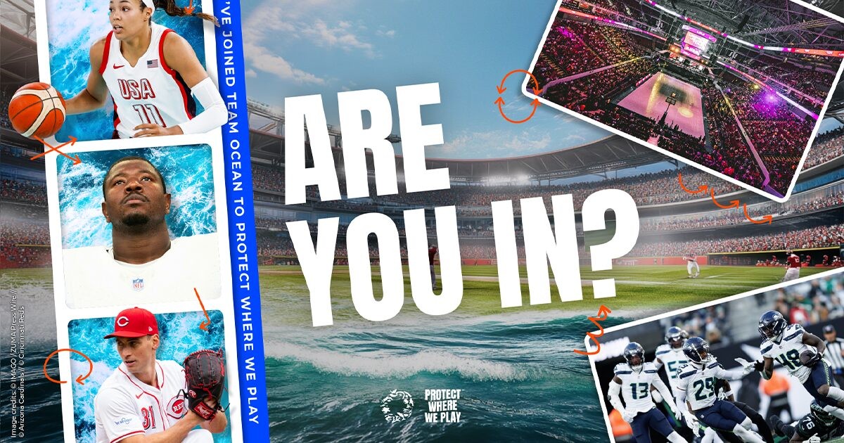 Meet Clean Swell® 🌊 - Protect Where We Play